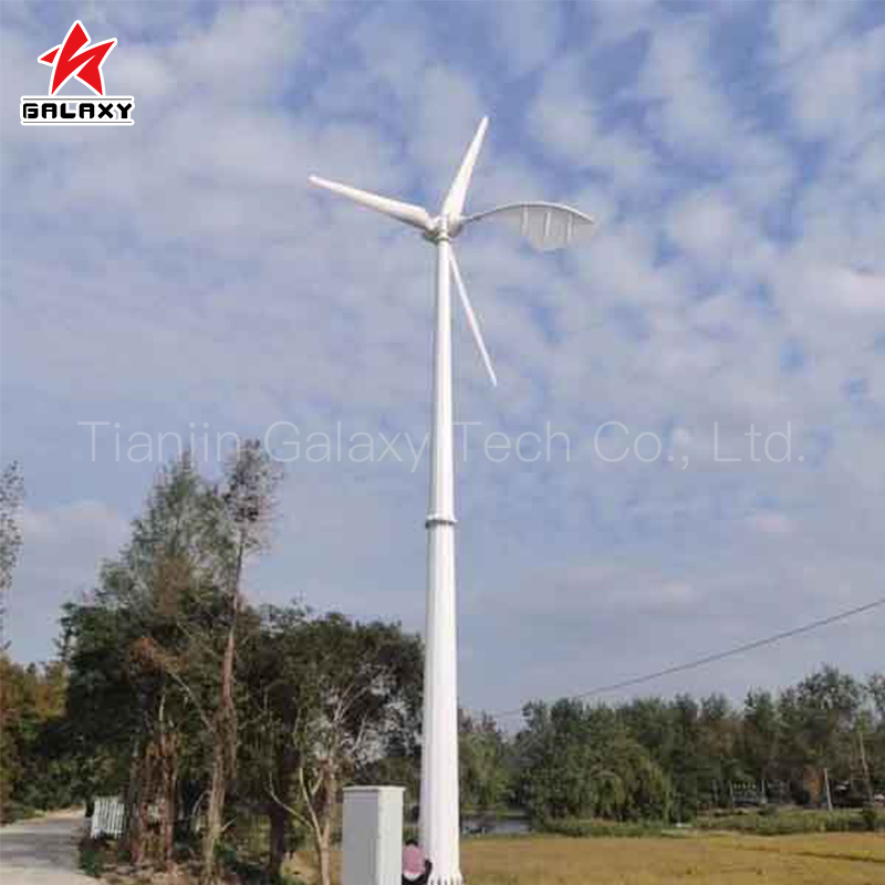 On-grid Wind Turbine10KW for Government Project 380V Reliable Quality