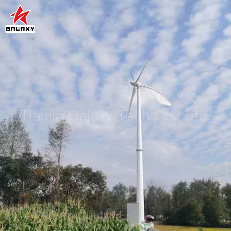 On-grid Wind Turbine10KW for Government Project 380V Reliable Quality