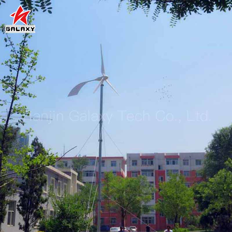 Residential Wind Energy 1KW Wind Turbine